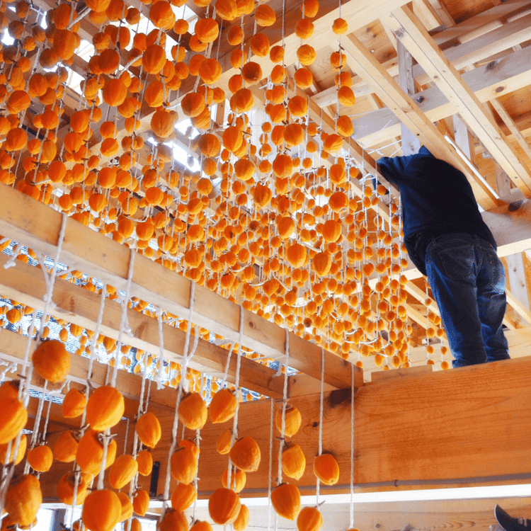 Persimmon Extract, Skin Care Products – Mirai Clinical